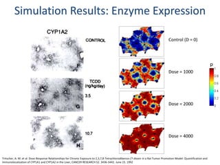 Computational Modeling and Simulation of Liver as a Complex System | PPT