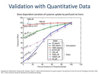 Computational Modeling and Simulation of Liver as a Complex System | PPT