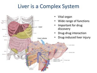Computational Modeling and Simulation of Liver as a Complex System | PPT