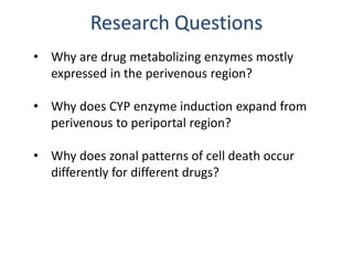 Computational Modeling and Simulation of Liver as a Complex System | PPT
