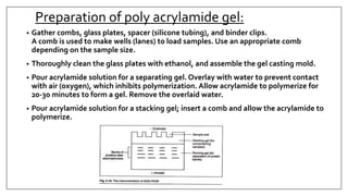 Zone electrophoresis and its types | PPTX