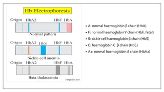 Zone electrophoresis and its types | PPTX