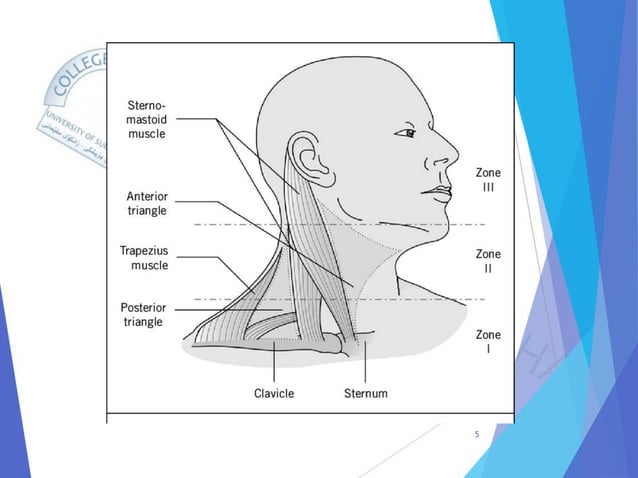 Zone I Neck Stab Wound with a Normal Aortography.pdf
