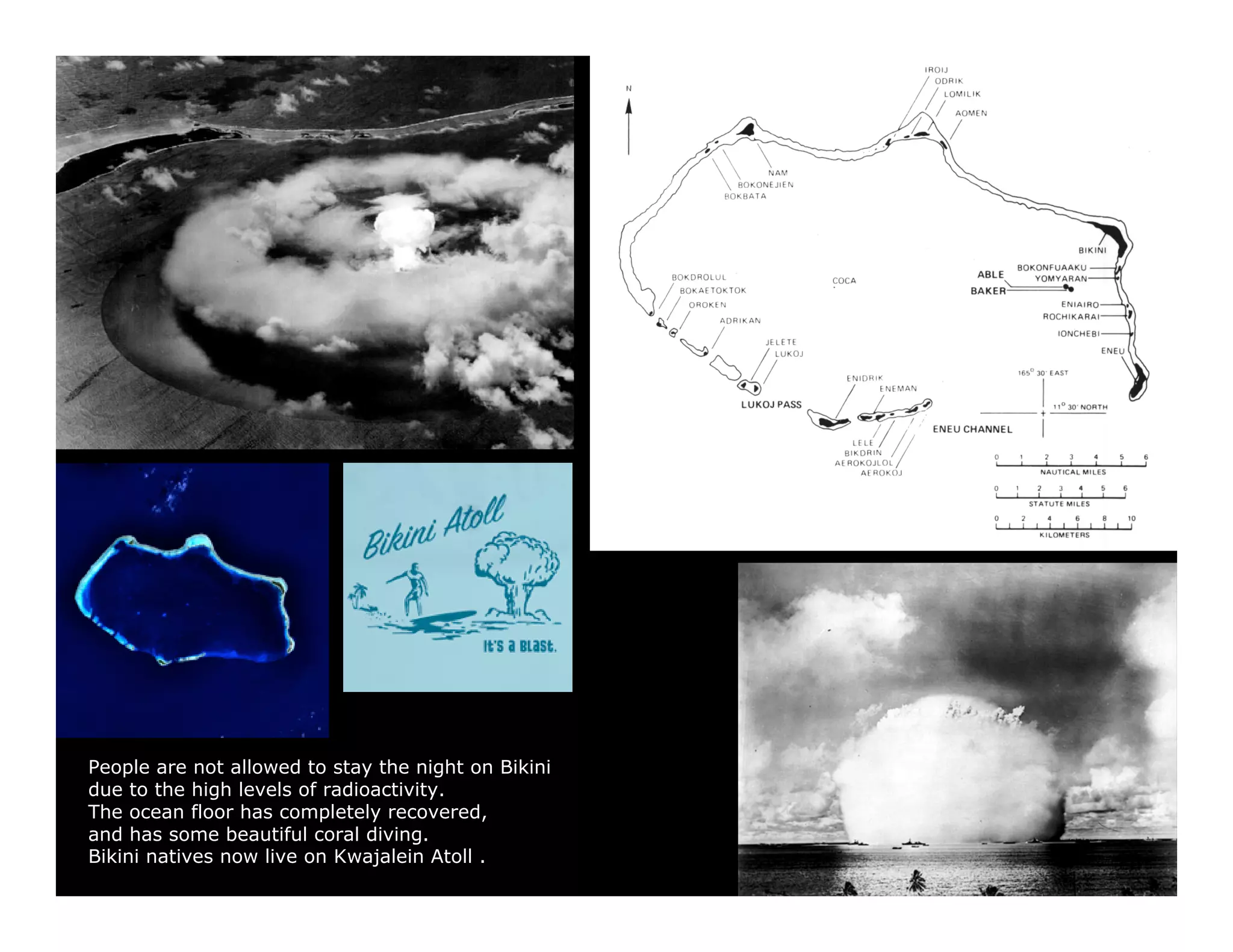 Oceanic Zones And Trophic Levels | PPT