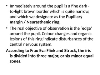 zones of iris-1.pptx zones of iris zones | PPT