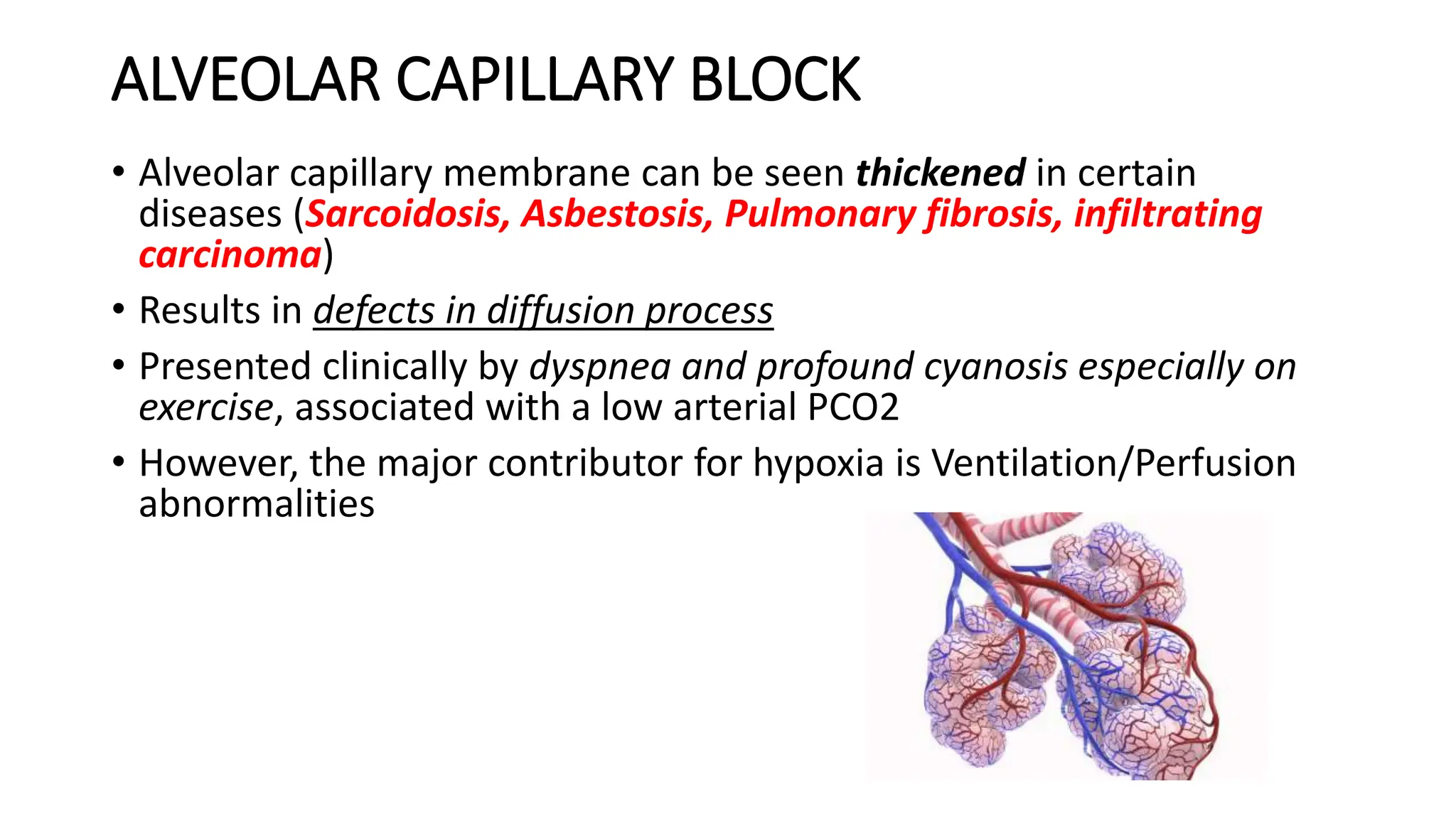 ZONES OF LUNG AND VENTILATION PERFUSION.pptx