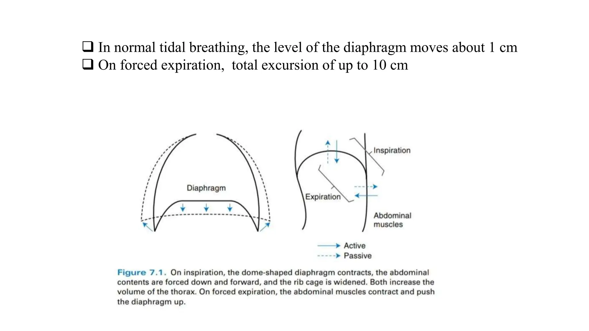 ZONES OF LUNG AND VENTILATION PERFUSION.pptx