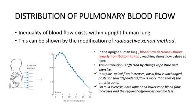 ZONES OF LUNG AND VENTILATION PERFUSION.pptx | Lung and Respiratory ...