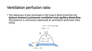 ZONES OF LUNG AND VENTILATION PERFUSION.pptx