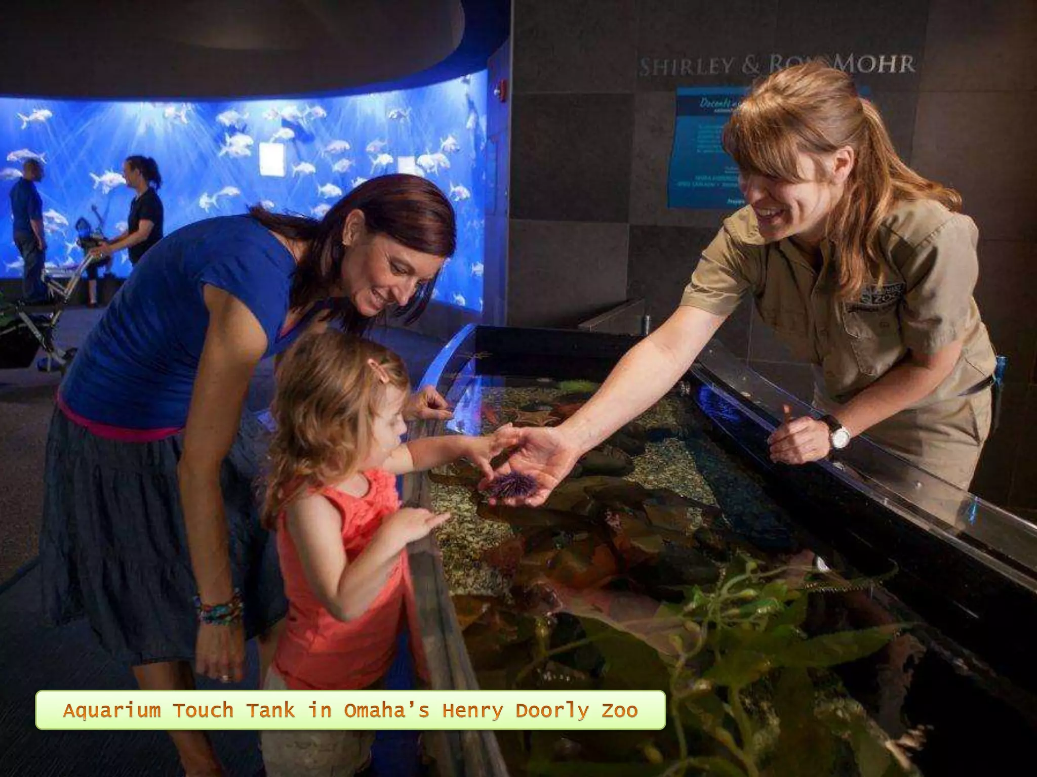 Omaha's Henry Doorly Zoo | PPTX