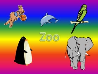 Zoo prezentacja Sary | PPTX