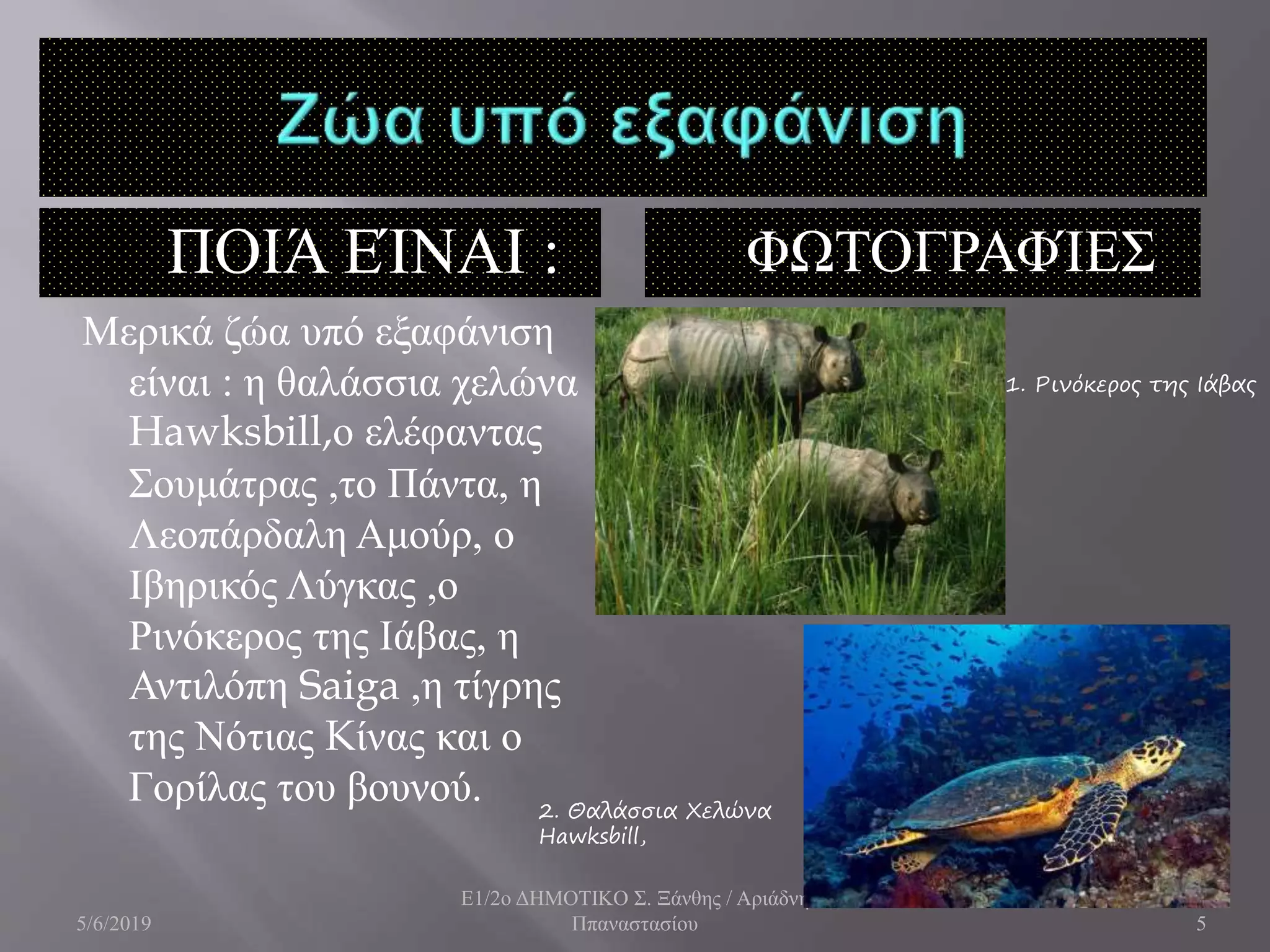 ΖΩΑ ΥΠΟ ΕΞΑΦΑΝΙΣΗ | PPTX
