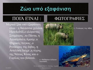 ΖΩΑ ΥΠΟ ΕΞΑΦΑΝΙΣΗ | PPTX