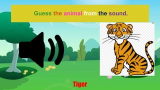 zoo-animals-their-foods-and-sounds-activities.pptx