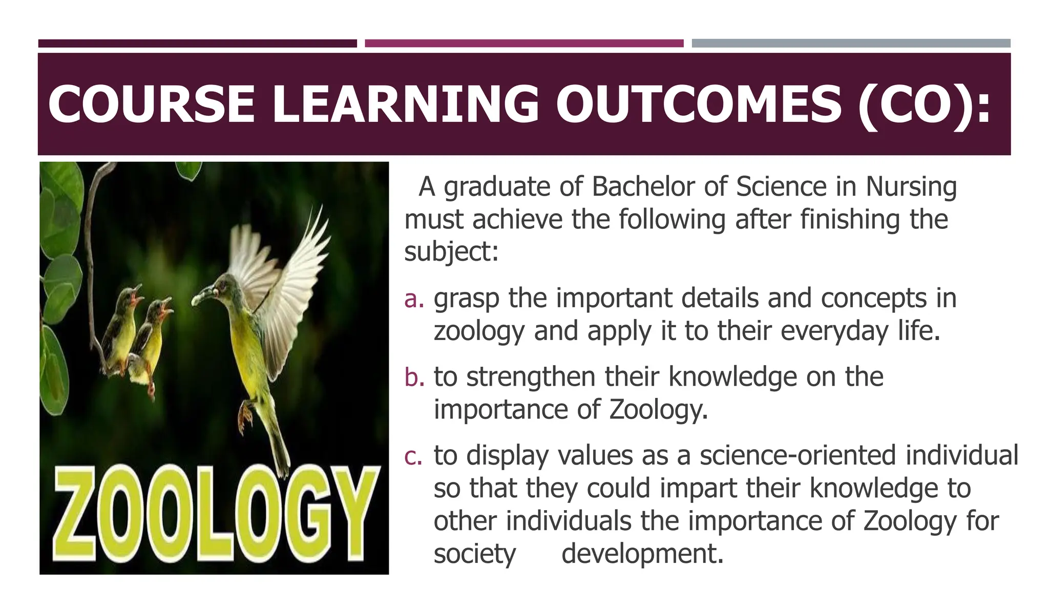 ZOO- COURSE GUIDELINES AND REQUIREMENTS.pdf.pdf