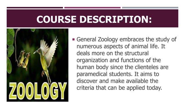 ZOO- COURSE GUIDELINES AND REQUIREMENTS.pdf.pdf