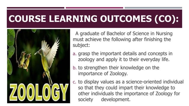 ZOO- COURSE GUIDELINES AND REQUIREMENTS.pdf.pdf