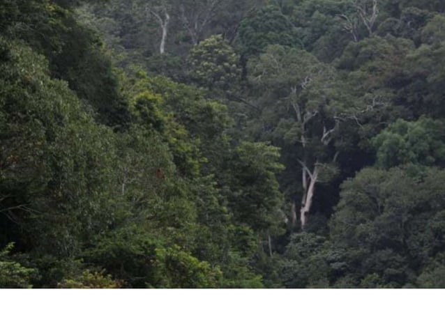 Zoo geographical region of wildlife distribution in india | PPTX ...