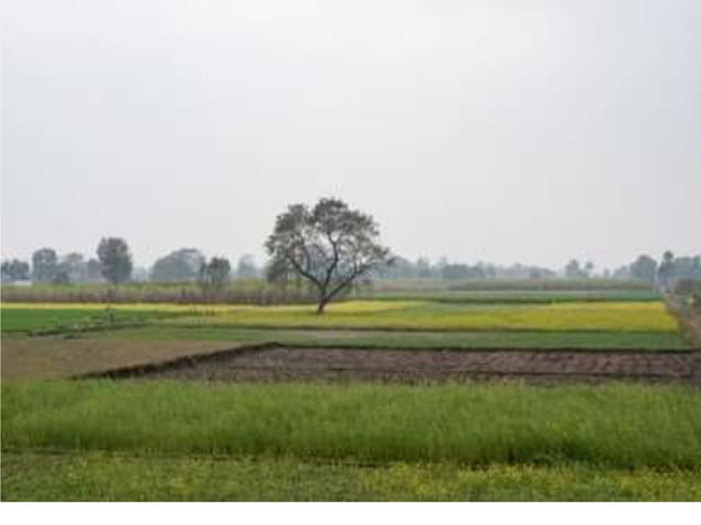 Zoo geographical region of wildlife distribution in india | PPTX ...