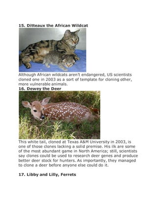 Zoo 20 animals that have been cloned | DOCX