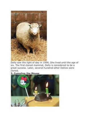 Zoo 20 animals that have been cloned | DOCX | Biological Sciences | Science
