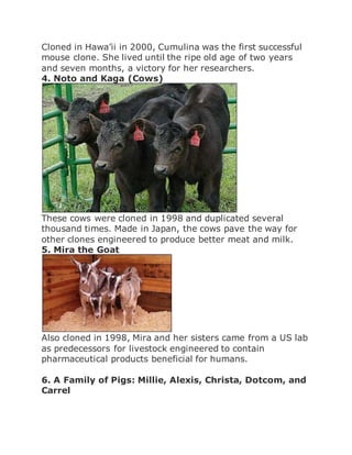 Zoo 20 animals that have been cloned | DOCX