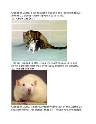 Zoo 20 animals that have been cloned | DOCX | Biological Sciences | Science