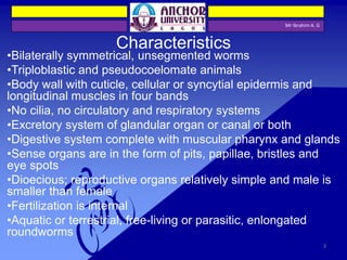 Nematode | PPT