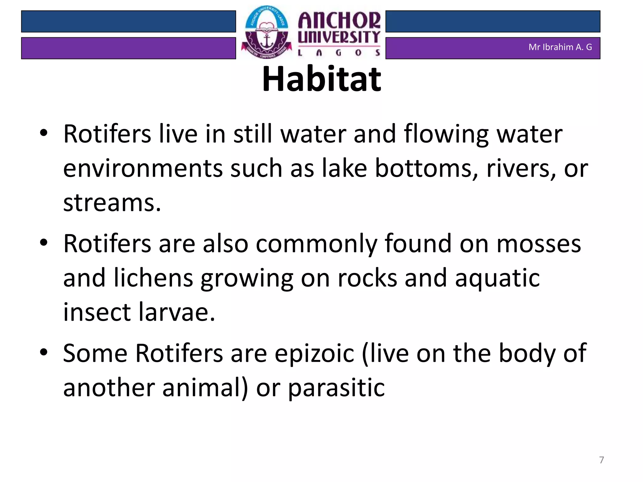 Rotifers | PPT