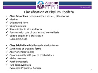 Rotifers | PPT