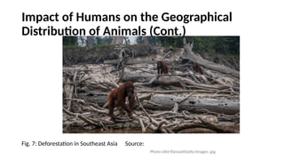 Zoo 571 (Geographical distribution of animals) presentation.pptx