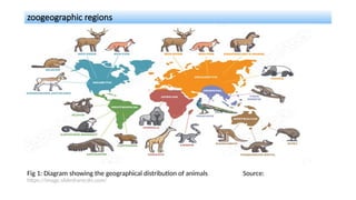 Zoo 571 (Geographical distribution of animals) presentation.pptx