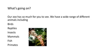 Zoo_Advert.pptx