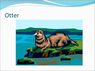 Zoo animals | PPT | Zoos & Aquariums | Attractions