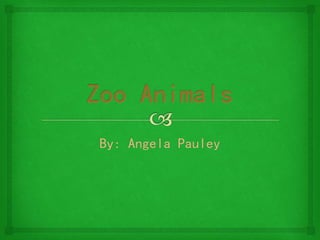 Zoo Animals | PPTX | Zoos & Aquariums | Attractions
