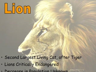 Zoo Animals - Final Project | PPT