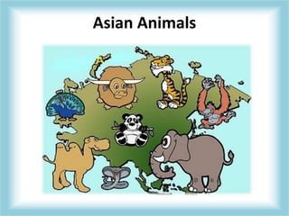 Zoo animals | PPTX