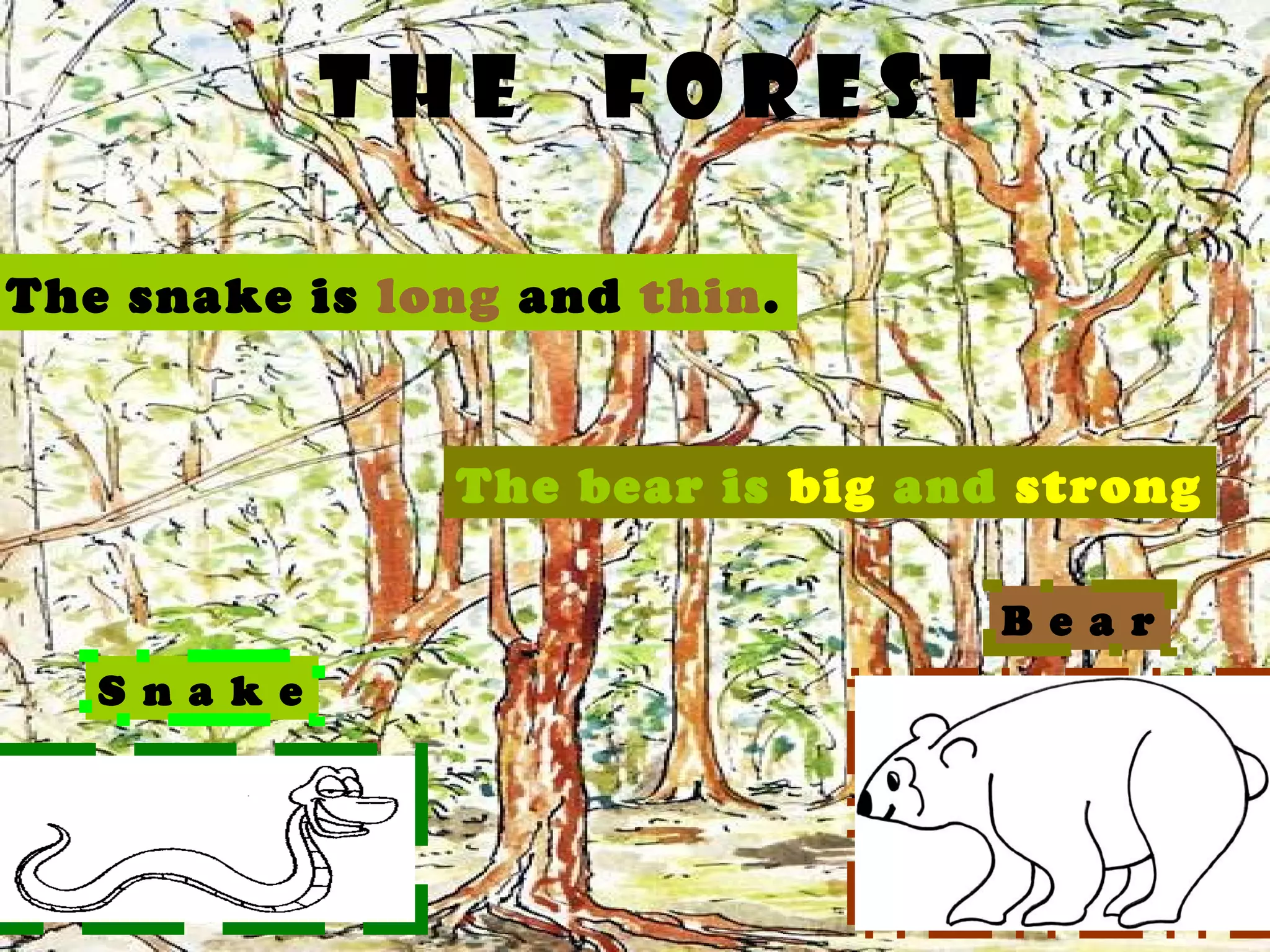 Zoo animals and adjectives | PPS