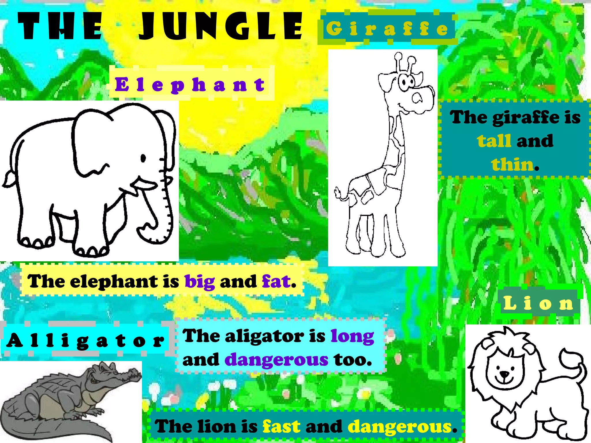 Zoo animals and adjectives | PPS