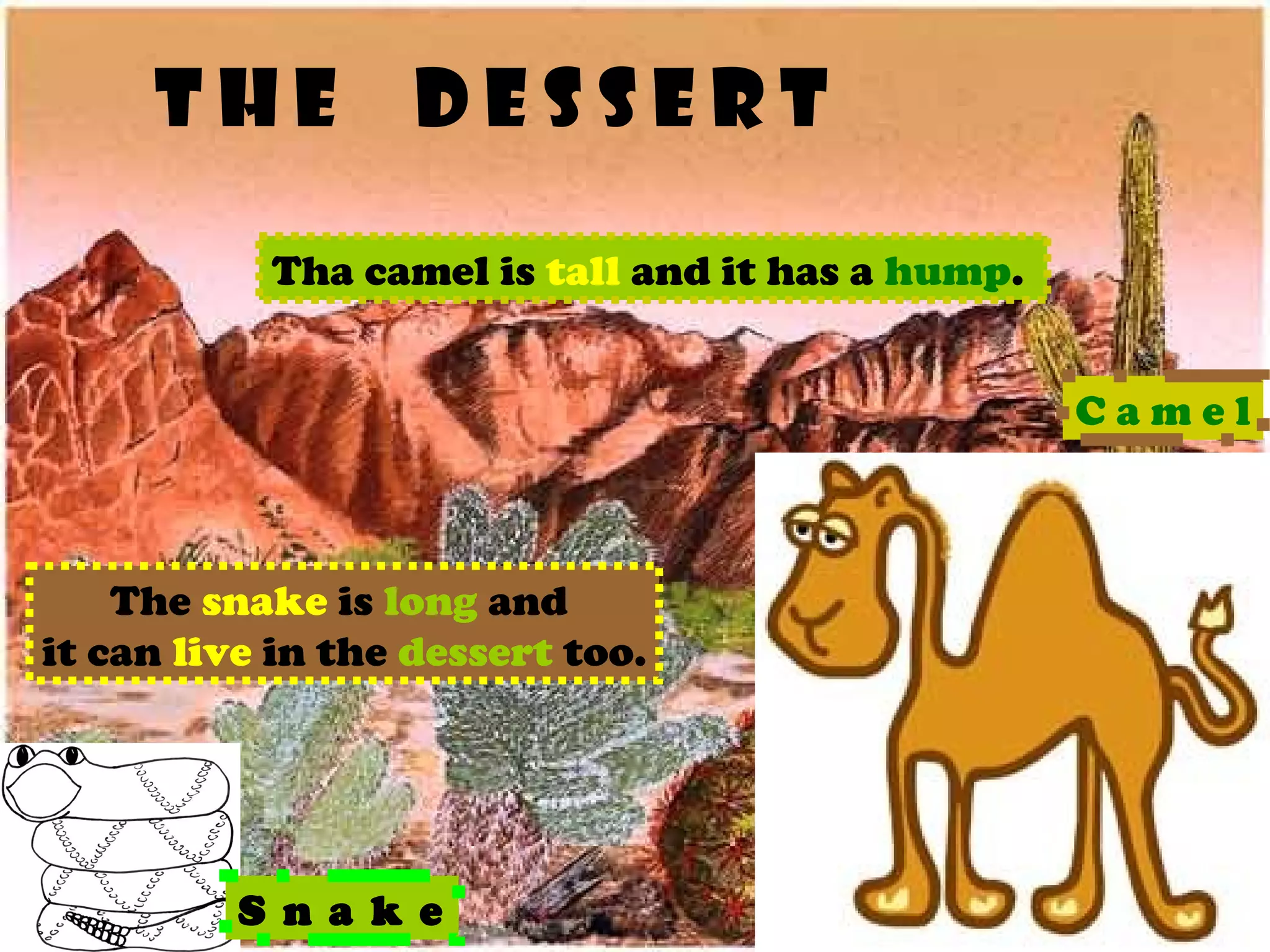 Zoo animals and adjectives | PPS