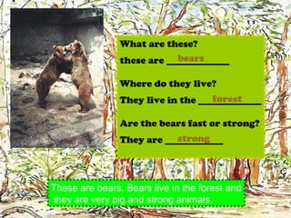 Zoo animals and adjectives | PPS | Large Animals | Pets