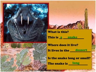 Zoo animals and adjectives | PPS