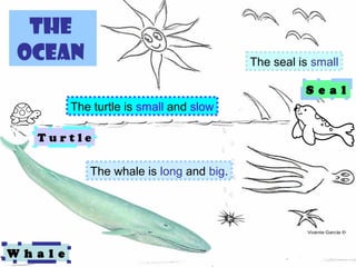 Zoo animals and adjectives | PPS | Large Animals | Pets