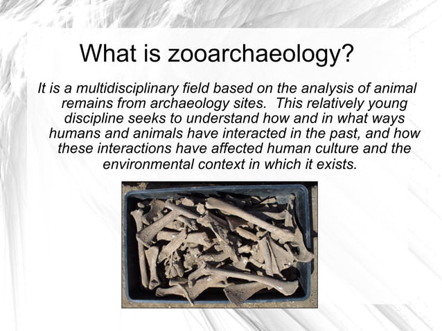Sanisera Fieldschool 2010, session 4: Zooarchaeology A Brief Overview ...