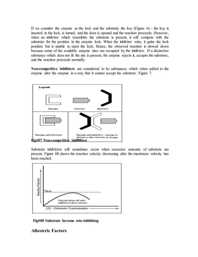 FACTORS AFFECTING ENZYME ACTIVITY | DOCX | Chemistry | Science