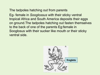 Zoo CC305 Parental Care in Amphibians.pdf