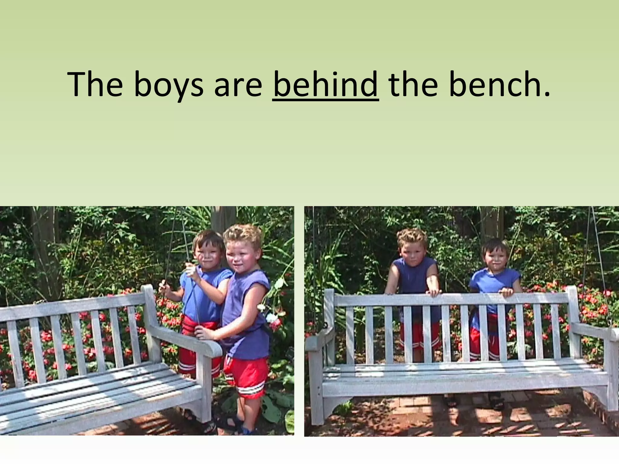 Zoo Story Comparing two concepts | PPT