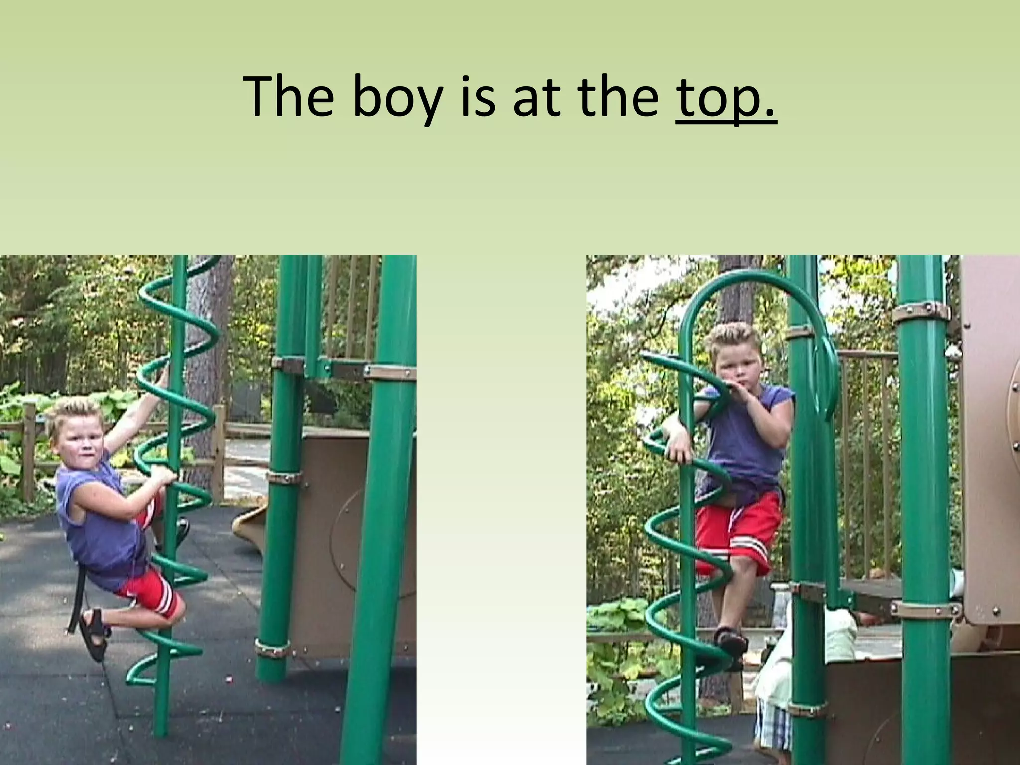 Zoo Story Comparing two concepts | PPT