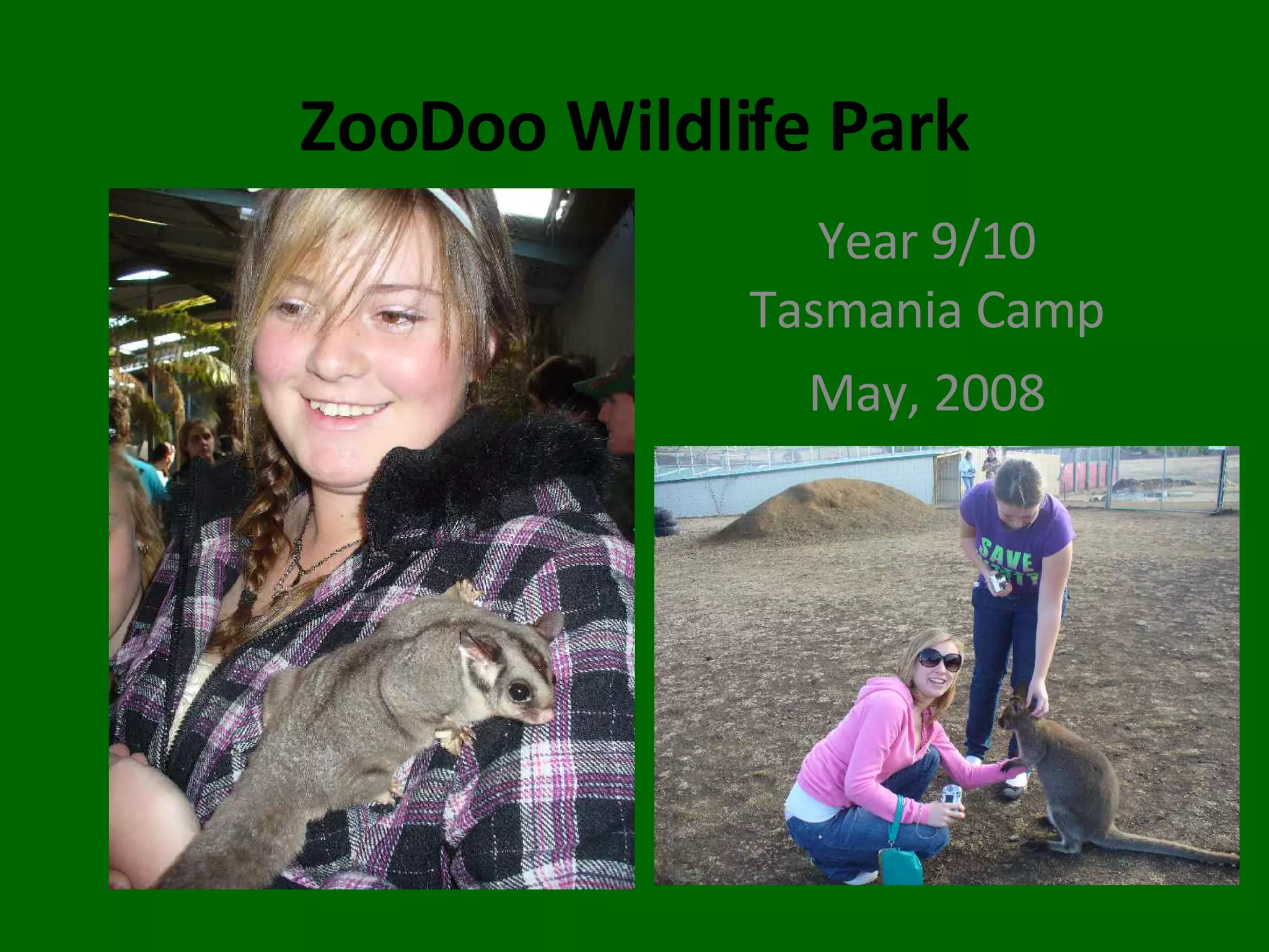 Zoo Doo Wildlife Park | PPT