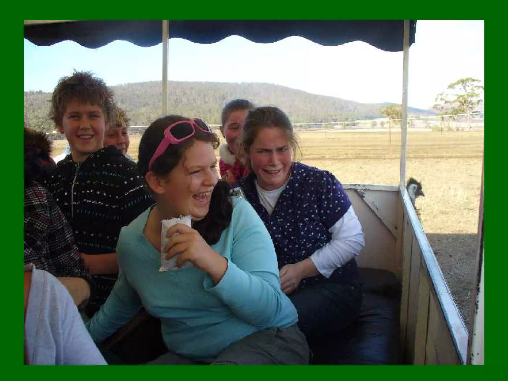 Zoo Doo Wildlife Park | PPT